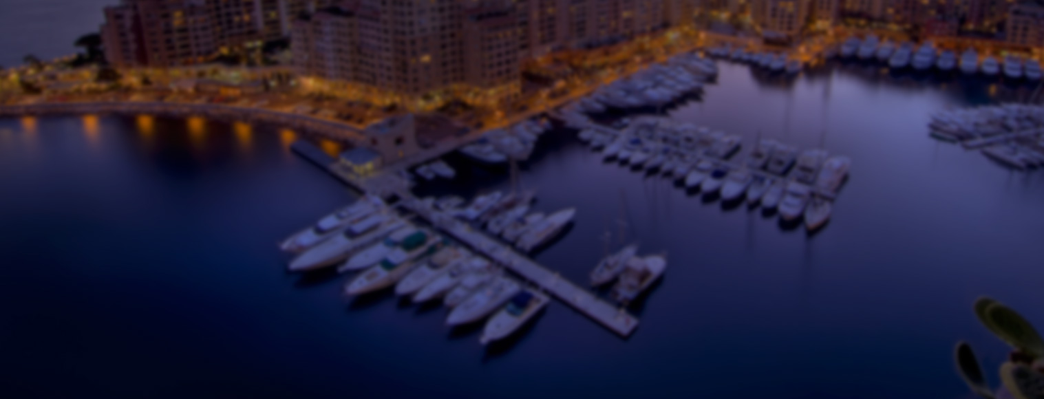 Maritime Surveillance - Option